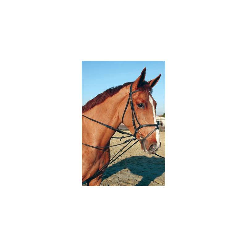 Leather draw reins with rope